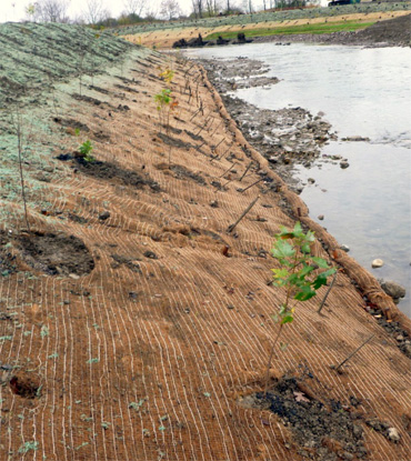 Jute Erosion Control Matting - Plantable | Specs, Uses, Prices