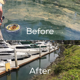 What is a Solution for Plastic Pollution?